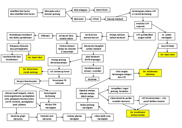 Pathway Stemi