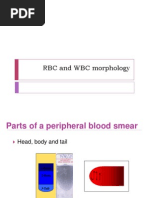 Understanding Full Blood Picture (FBP) | PDF | Platelet | Red Blood Cell