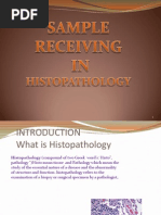 Sample Pathology Report | PDF | Pathology | Medicine