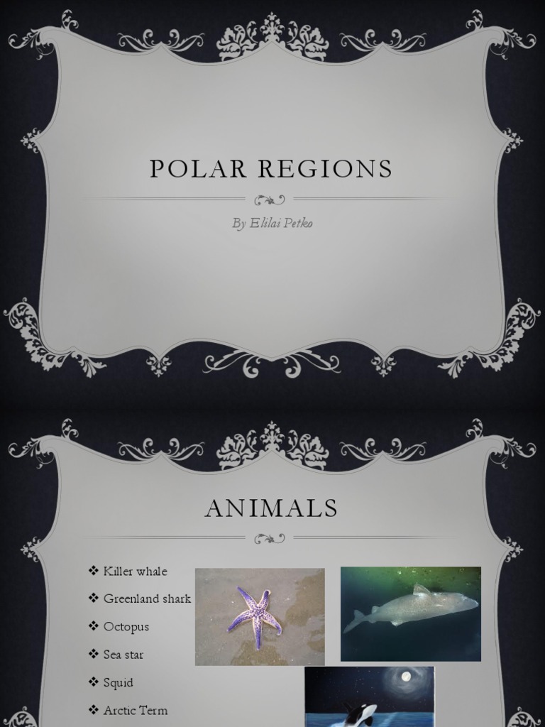 Polar Regions: Animals, Plants, and Food Chain | PDF