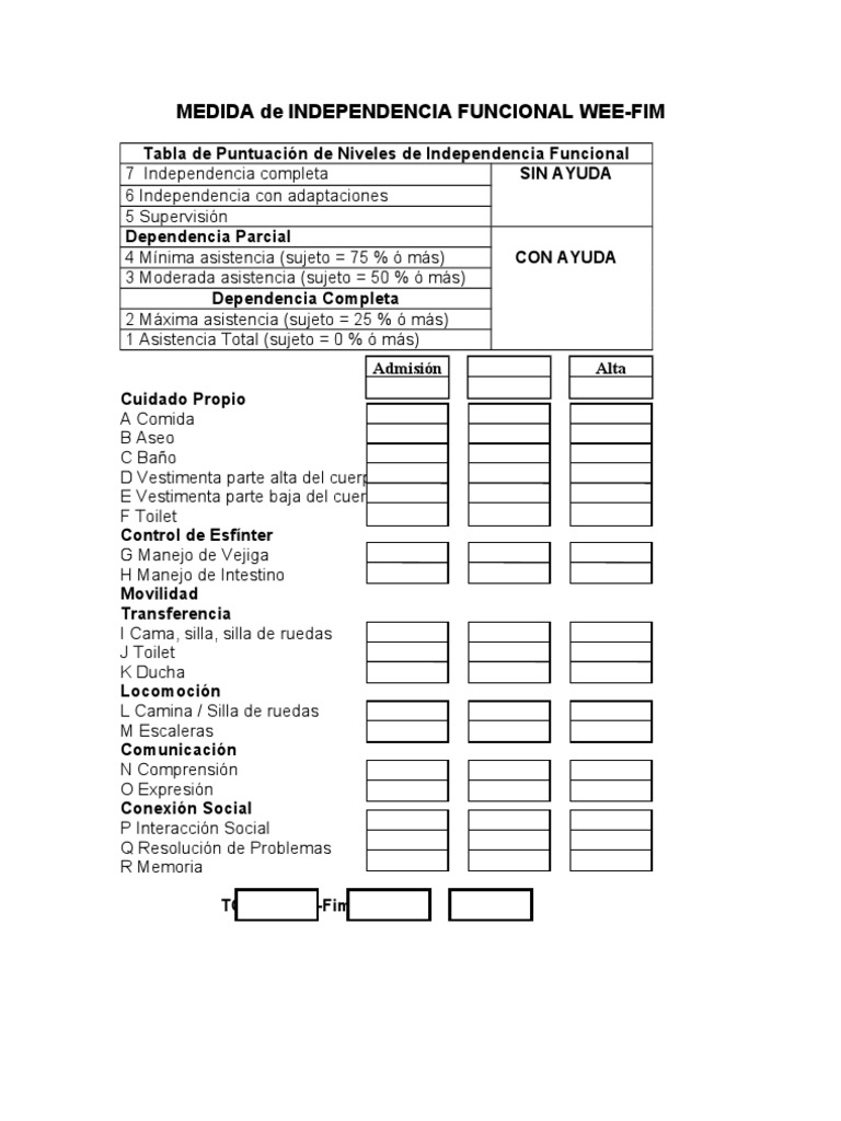 Grilla_de_puntuación_WEEFIM (1).doc