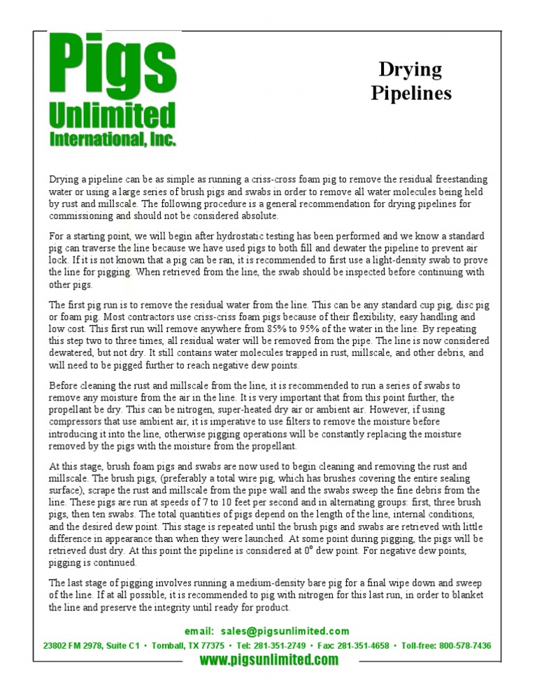 Pipeline Drying Techniques Explained | PDF