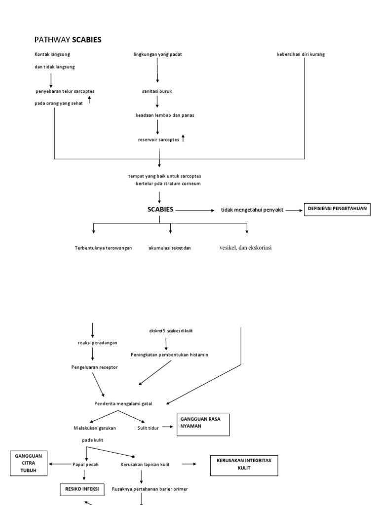 Pathway Scabies | PDF