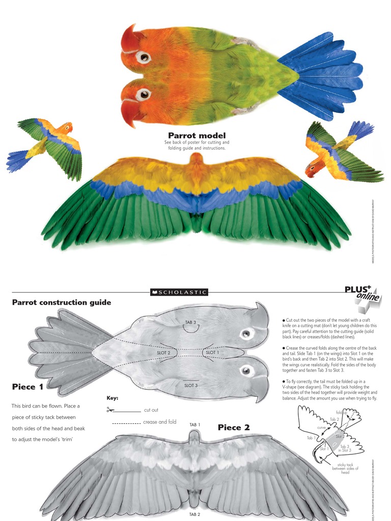 Papercraft Parot | PDF