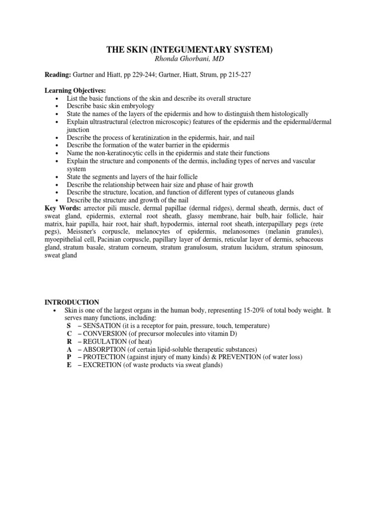 Integument | PDF