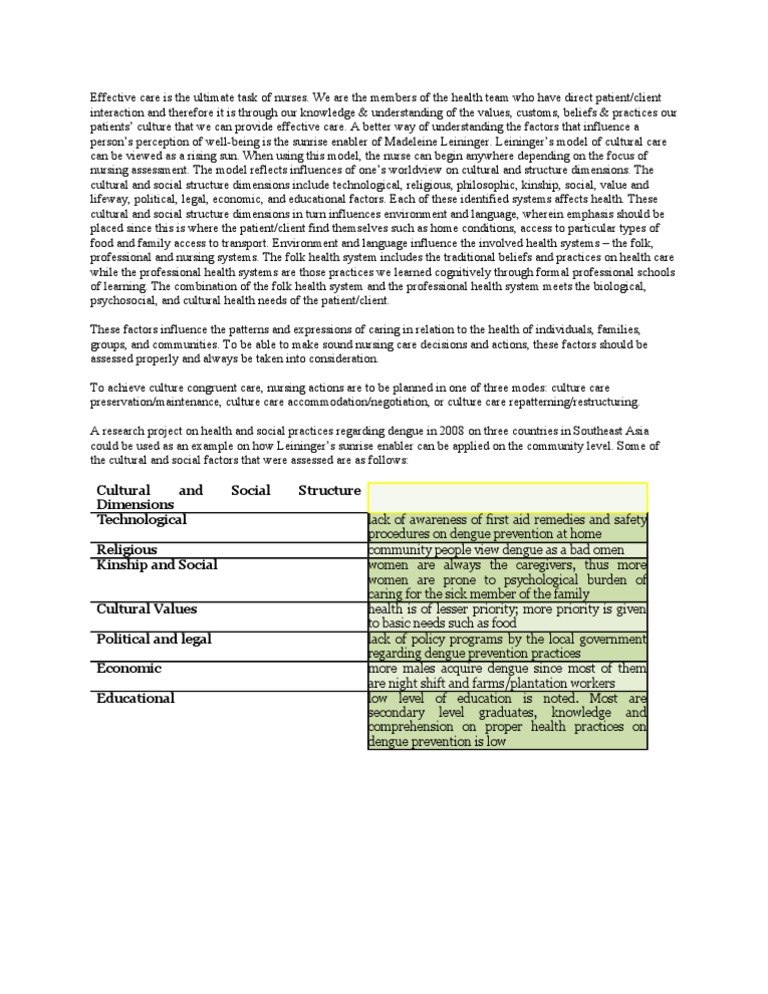 Sunrise Model | Nursing | Psychology & Cognitive Science