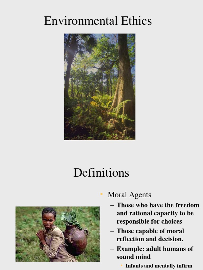 Environmental Ethics | PDF | Environmental Ethics | Morality