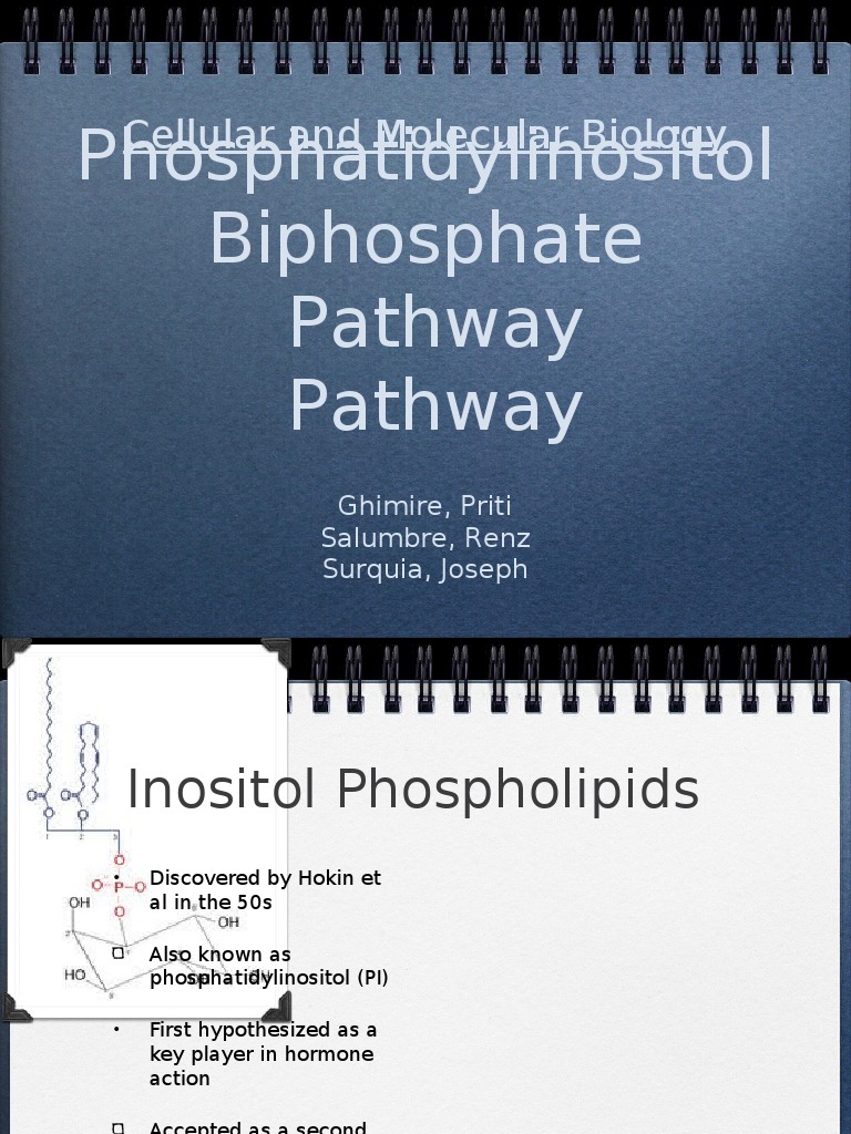Phosphoinositol Biphosphate Pathway | Signal Transduction | Tyrosine Kinase