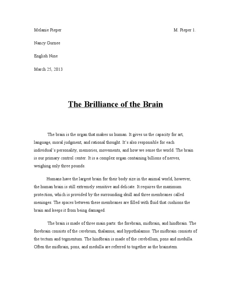 The Brilliance of The Brain | PDF | Cerebrum | Brainstem
