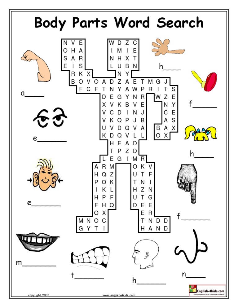 Body Parts Word Search | PDF