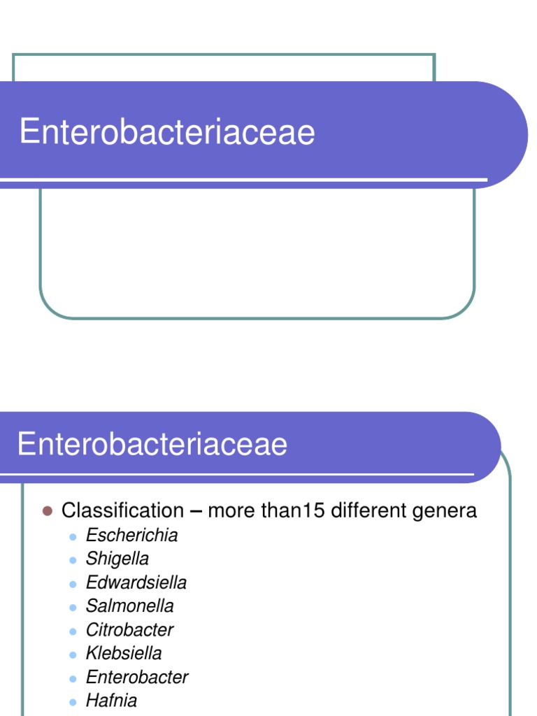 Lec 5 Enterobacteriaceae | PDF | Salmonella | Escherichia Coli