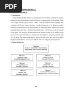 Padini Authentics Situation Analysis | PDF | Fashion | Brand