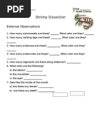 Tilapia Dissection | PDF | Gill | Fish