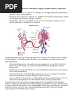 Fetal Circulation Flow Chart | PDF