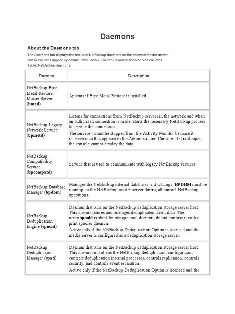 Daemons & Processes | PDF | Port (Computer Networking) | Server (Computing)