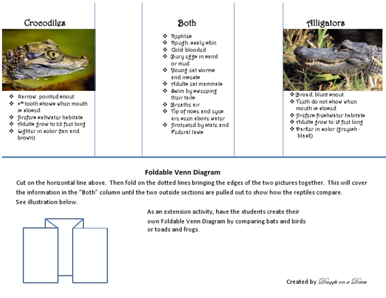 Example - Venn of Crocodiles and Alligators | PDF | Language Arts ...