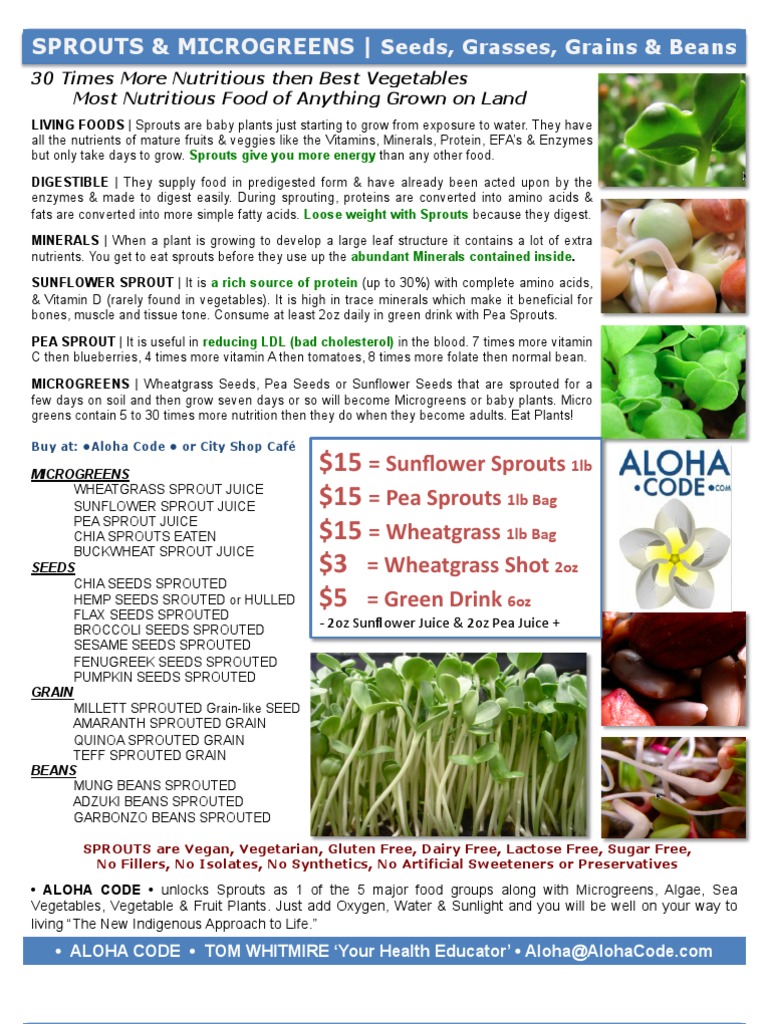 SPROUTS: Nutrition From Seeds | PDF