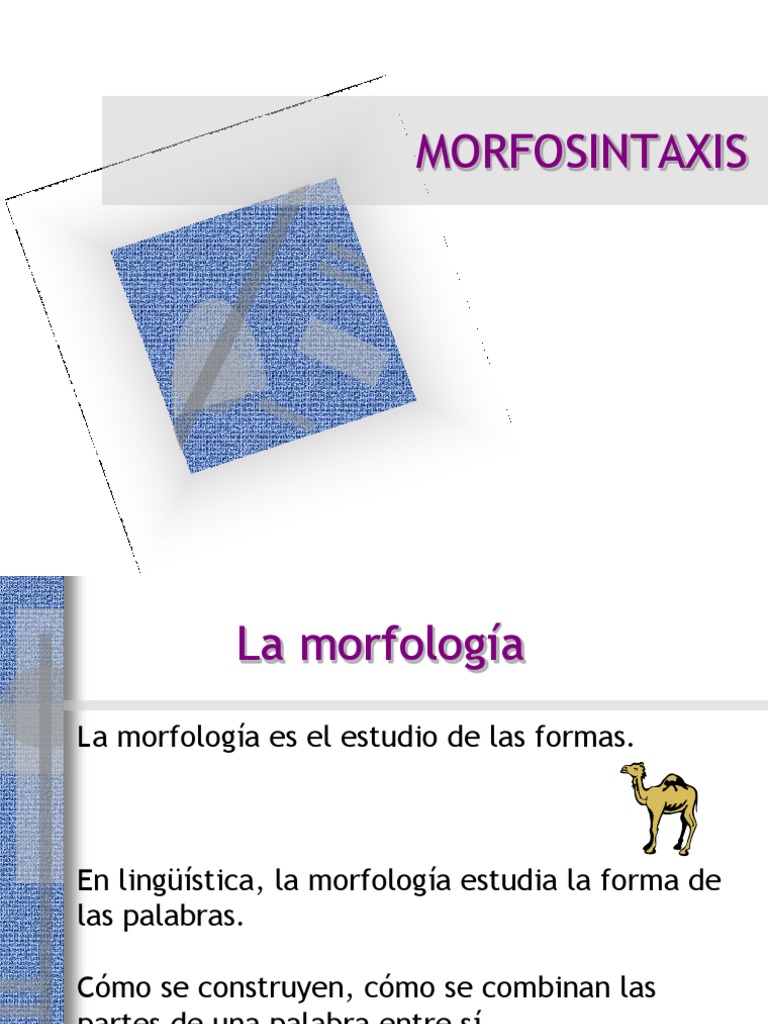 morfosintaxis | Tipología Lingüística | Morfología (Lingüística)