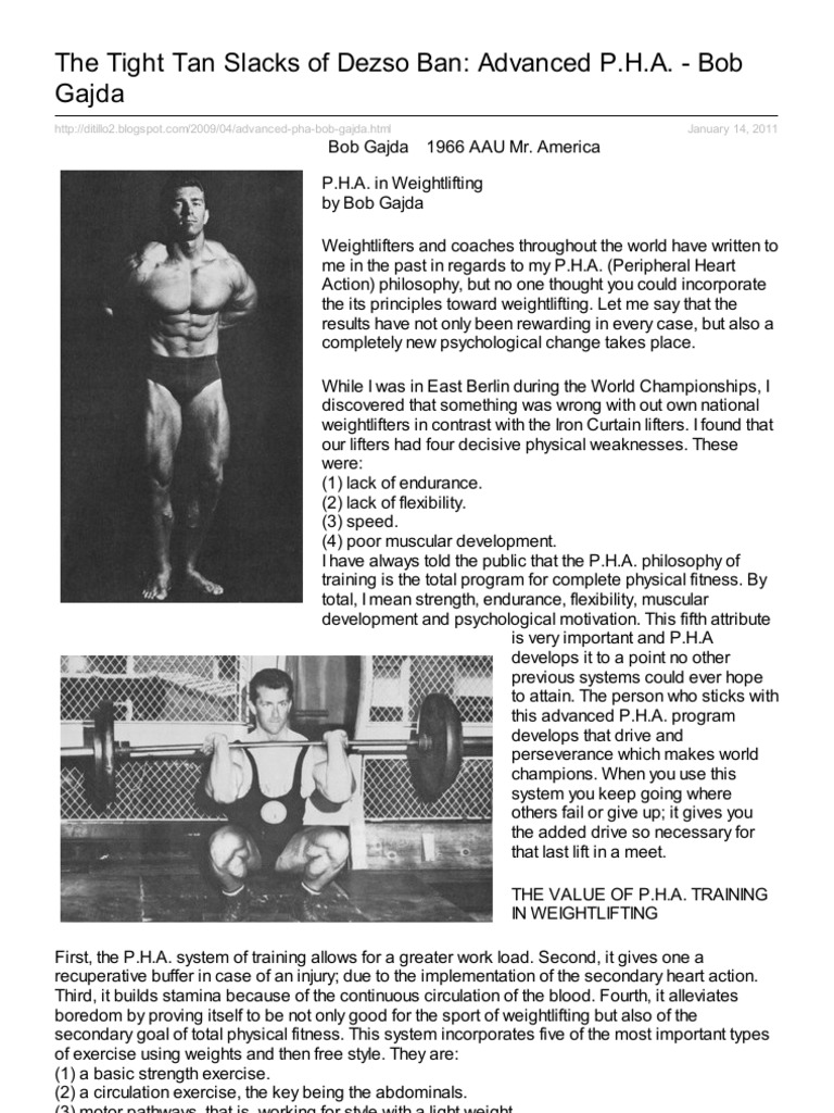 Advanced PHA Training by Bob Gajda | PDF | Physical Exercise ...