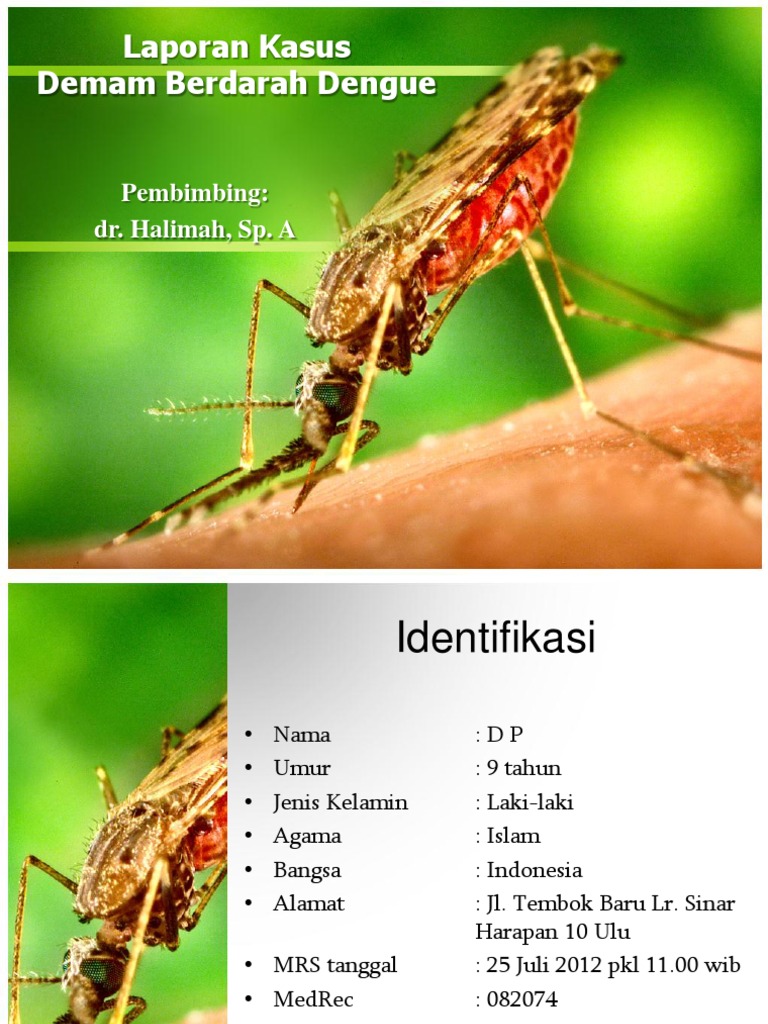 Laporan Kasus DBD | PDF