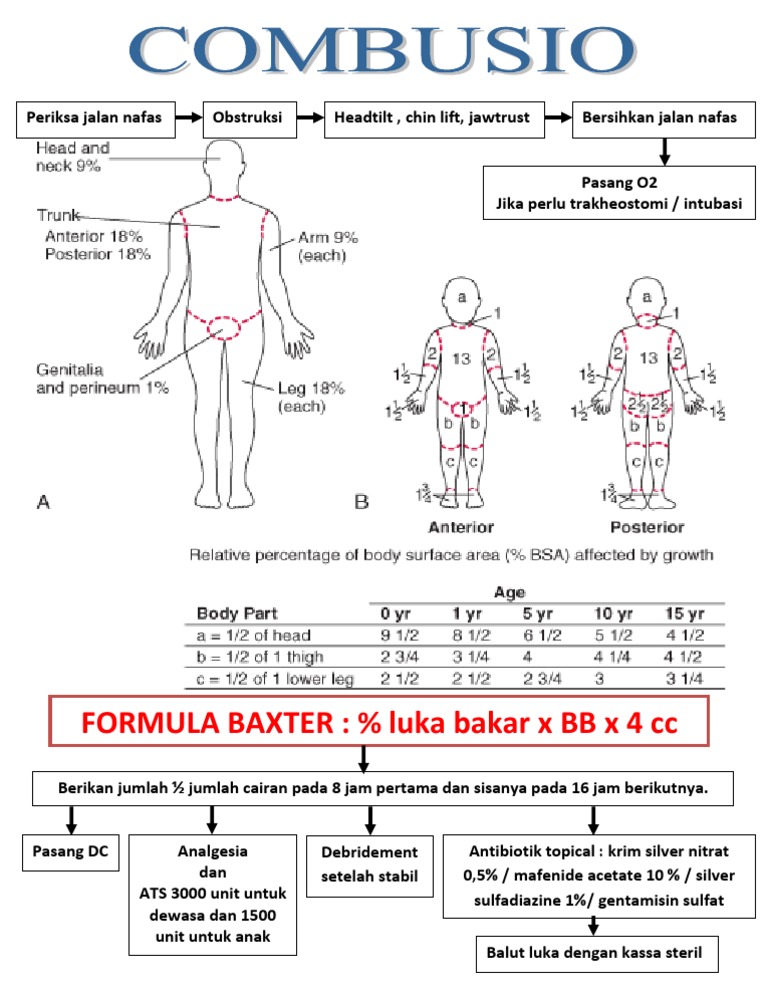 Combusio | PDF | Kesehatan Holistik