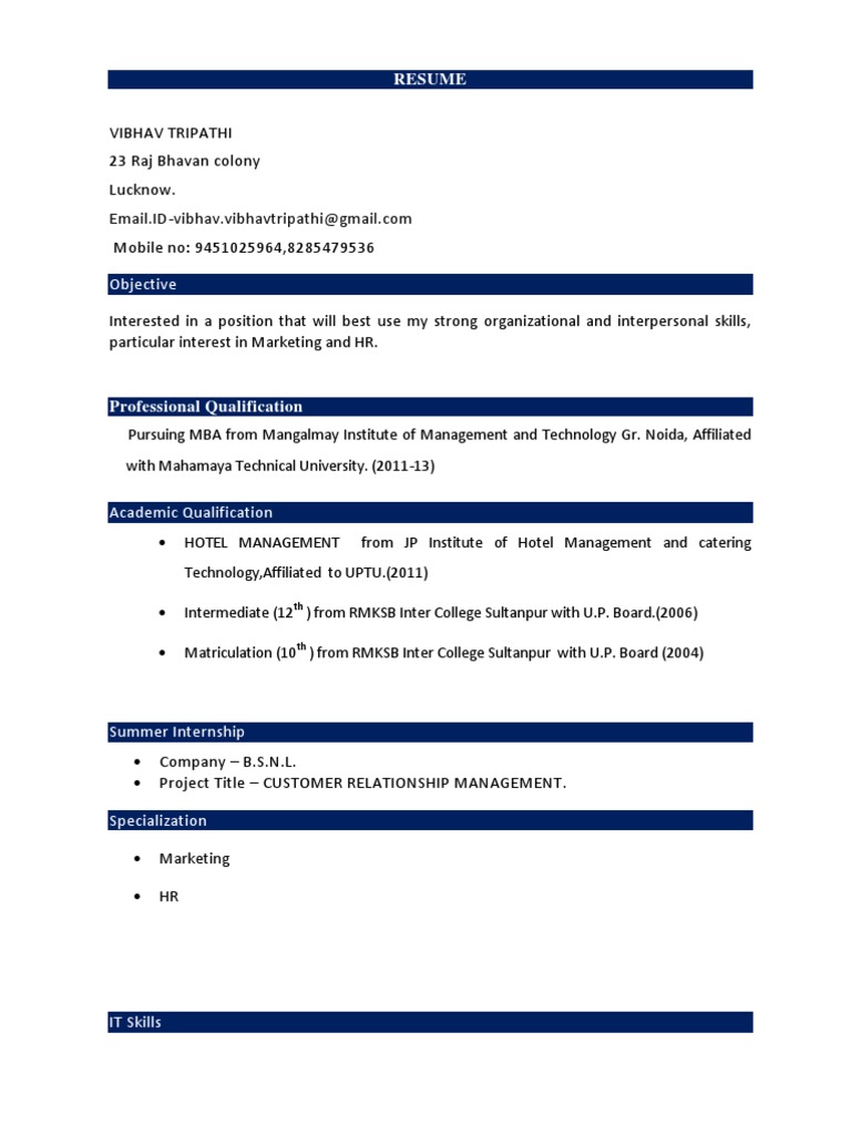 Vibhav CV | PDF | Business