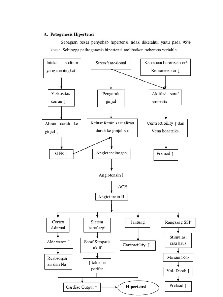 Patogenesis Hipertensi