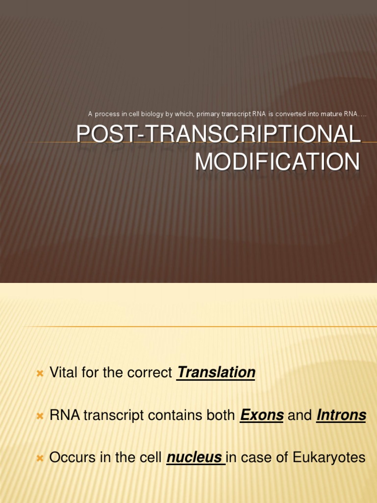 Post Transcriptional Modification | PDF | Rna Splicing | Messenger Rna
