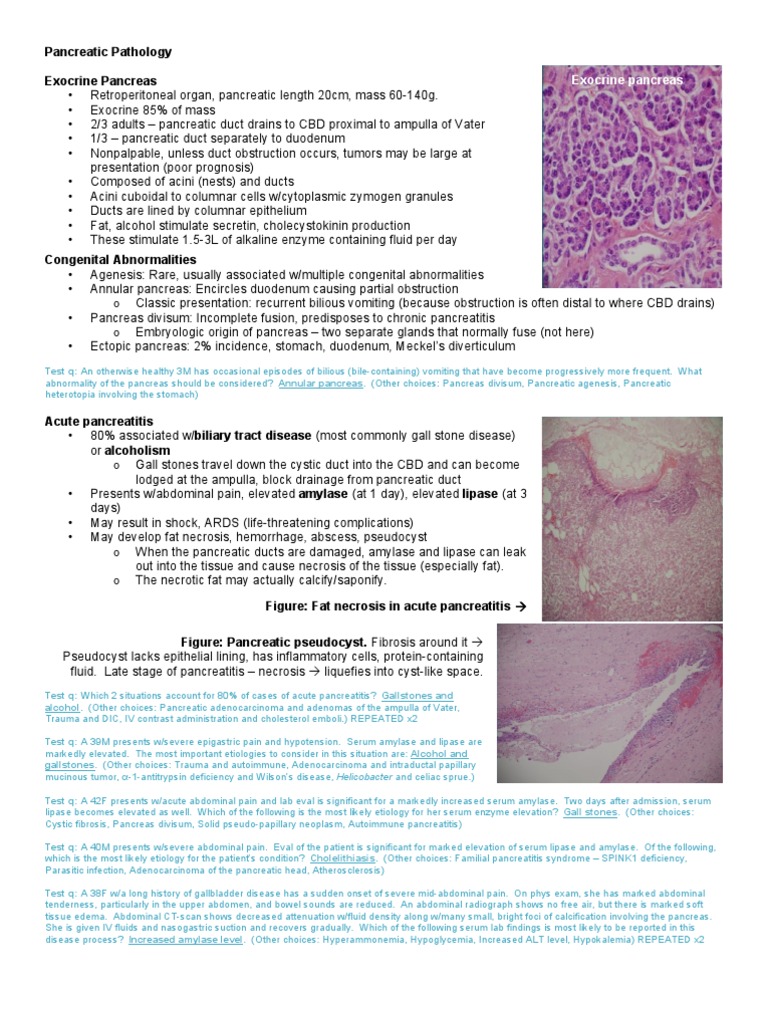 Pancreatic Pathology | PDF | Pancreatic Cancer | Pancreas