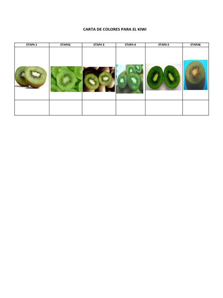 Carta de Colores para El Kiwi | PDF