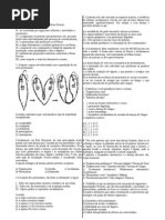 Tabela de Bacterioses | PDF | Salmonella | Bactérias