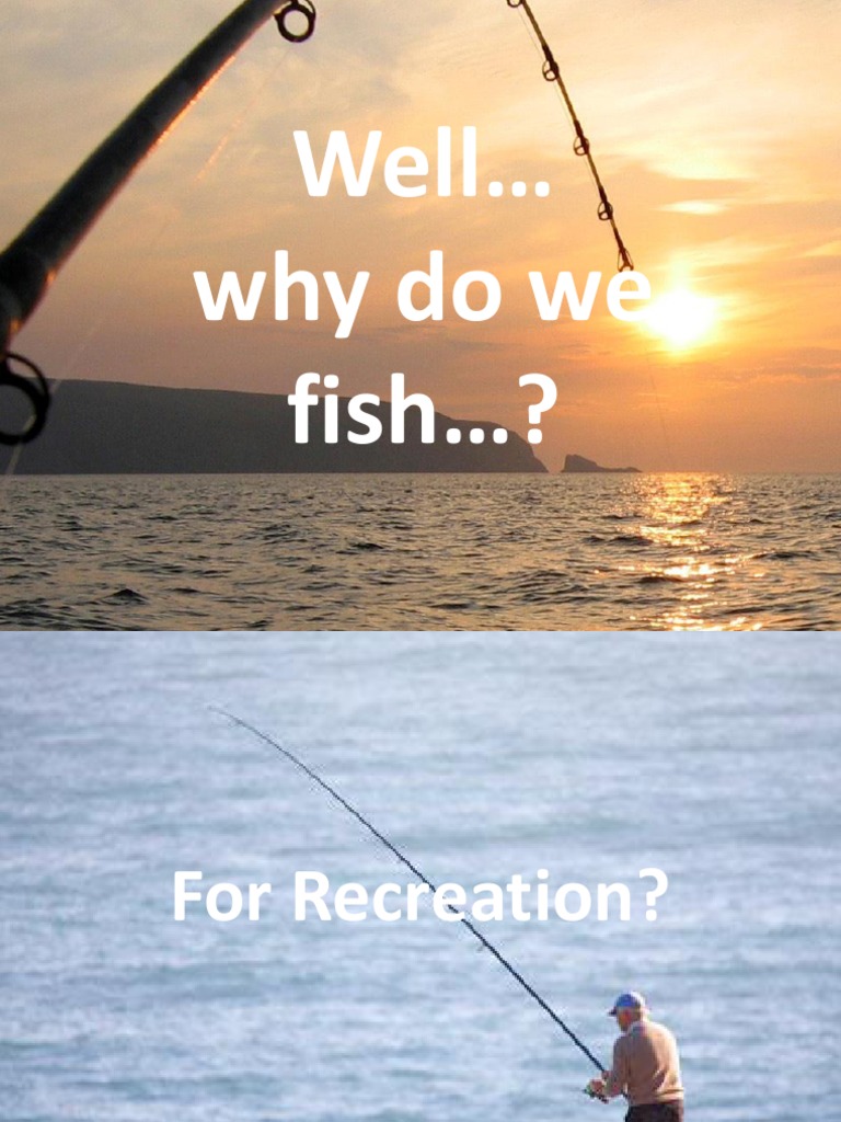 Overfishing in The World | PDF | Wellness