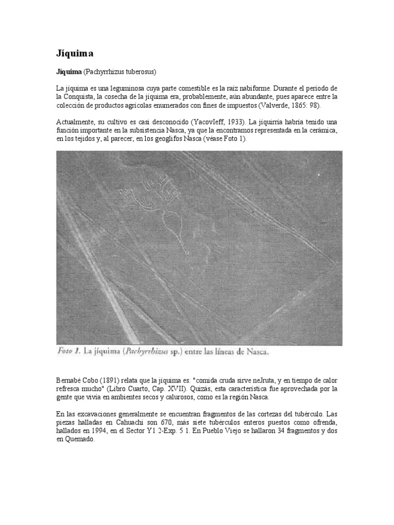 Jíquima y Otros Productos Originarios Peru | PDF | Nabo | Plantas ...