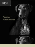 Pfizer Vanguard SP Final | PDF | Vacunas | Virus