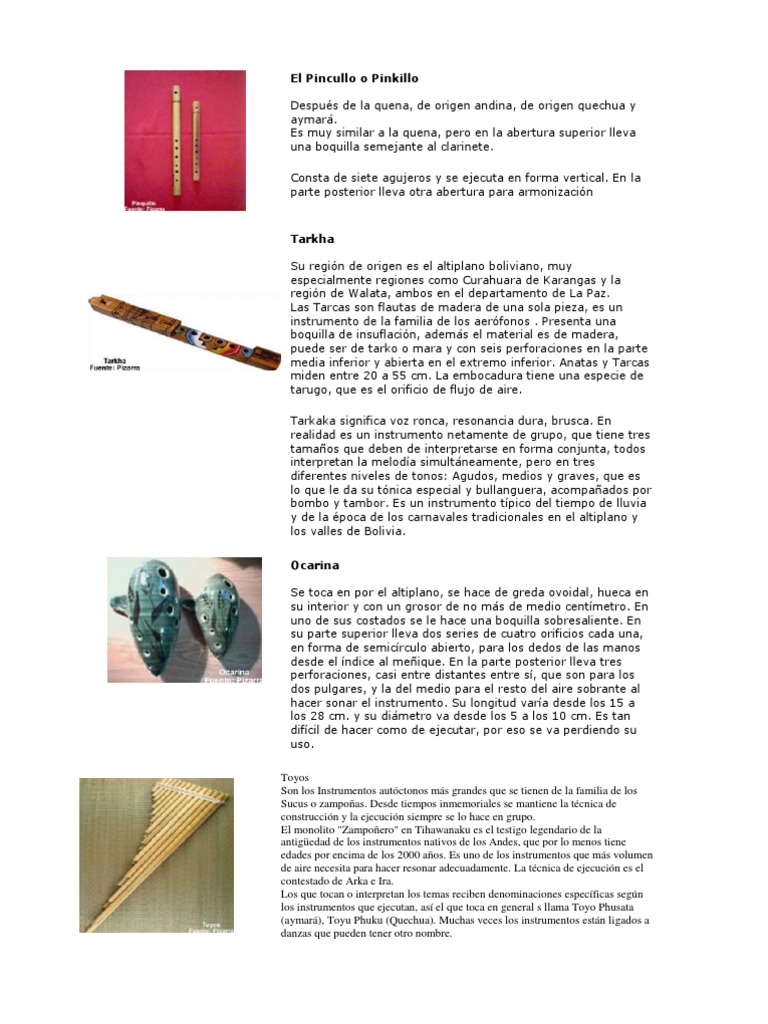 El Pincullo o Pinkillo | PDF | Tecnología musical | Instrumentos musicales