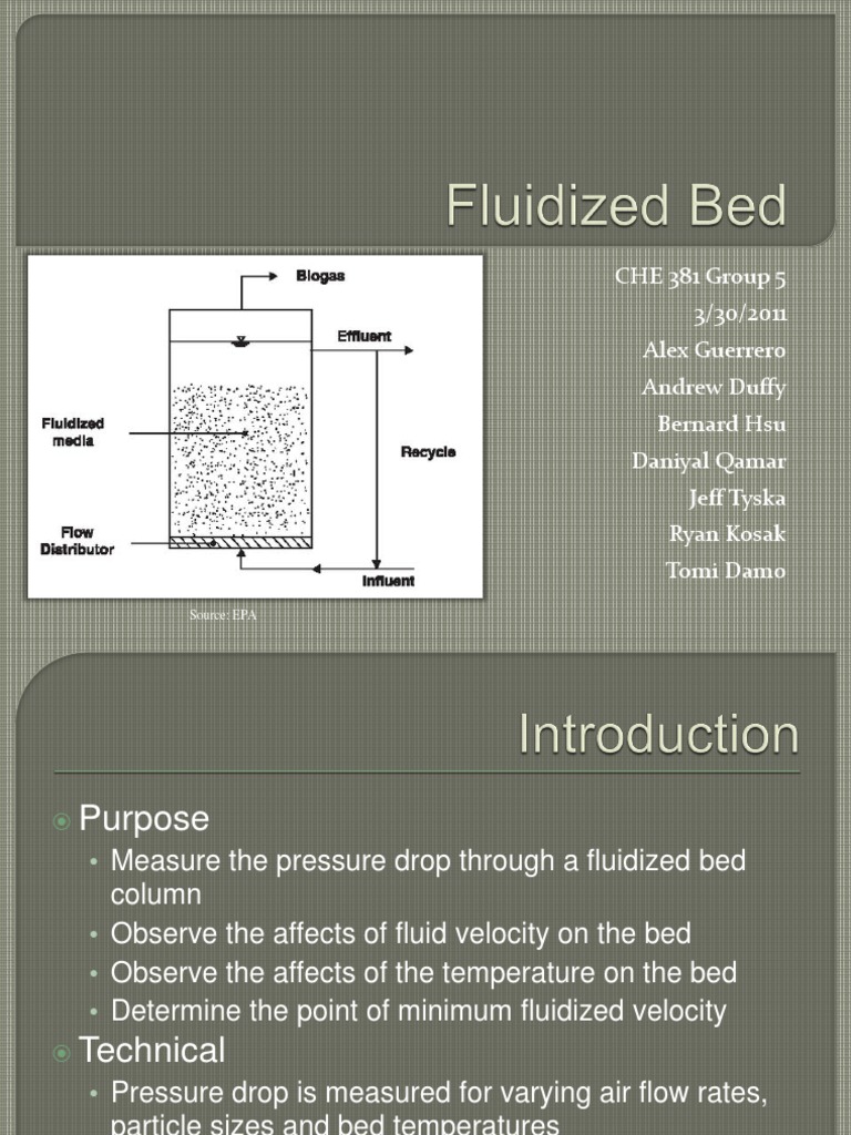Fluidized Bed | PDF | Fluidization | Fluid Dynamics