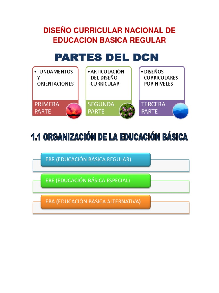 Diseño del currículo nacional de educación básica regular en Perú ...