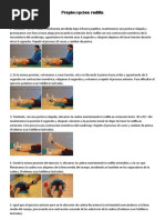 Ejercicios de Codman para Hombro | PDF | Hombro | Sistema ...