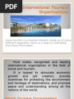 Tourist, Visitor, Traveller, Excursionist | PDF
