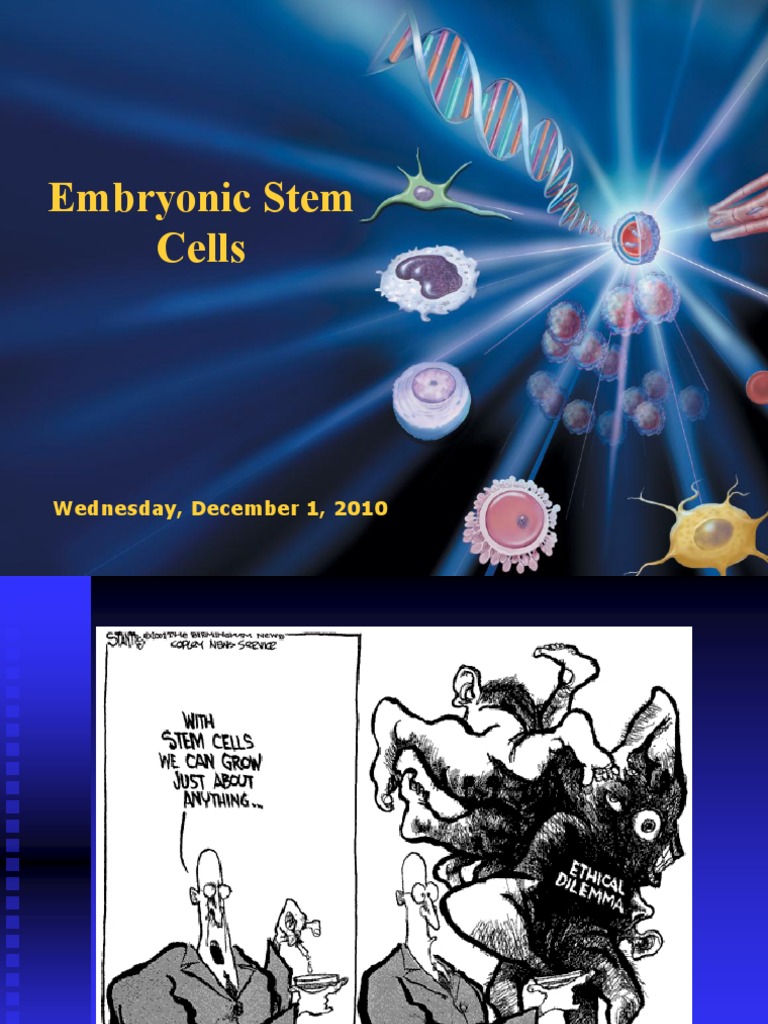 Understanding Embryonic Stem Cells | PDF | Cell Potency | Embryonic ...
