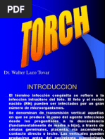 Complejo Torch | Embarazo | Infección