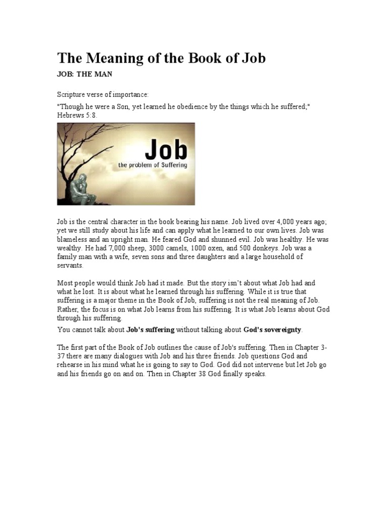 The Meaning of The Book of Job | PDF | Book Of Job | Hebrew Bible