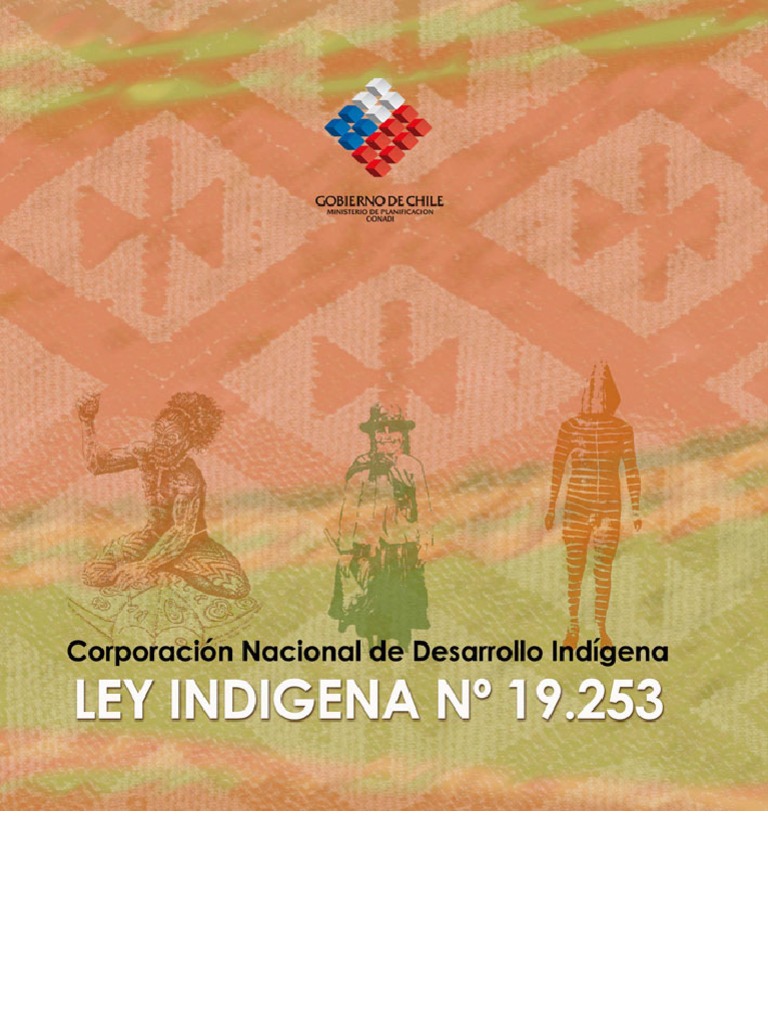 Ley Indígena 19253 | Gente indígena | Propiedad
