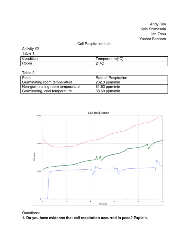 Biology Lab: Respiration & Muscle Fatigue | PDF | Cellular Respiration ...