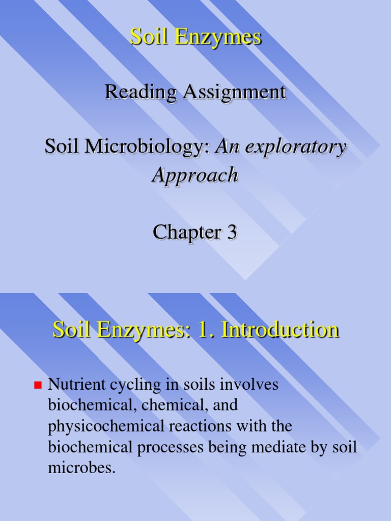 Soil Enzymes Powerpoint | PDF | Enzyme Kinetics | Enzyme