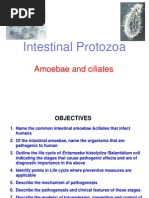 Enterobius Vermicularis: Cellophane (Scotch) Tape Method | PDF ...