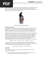 Stepan Sulfate Free Surfactant Solutions Guide | PDF | Shampoo | Surfactant