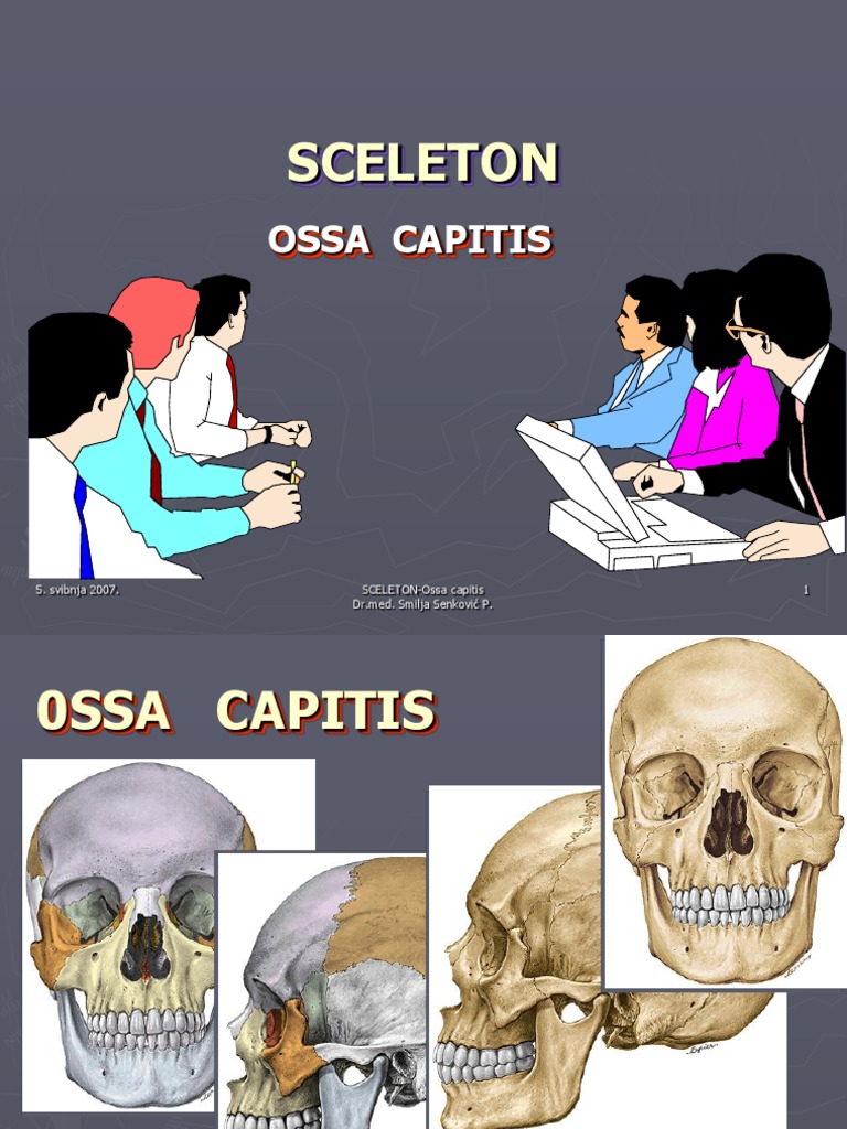 SCELETON - PPT Ossa Capitis | PDF