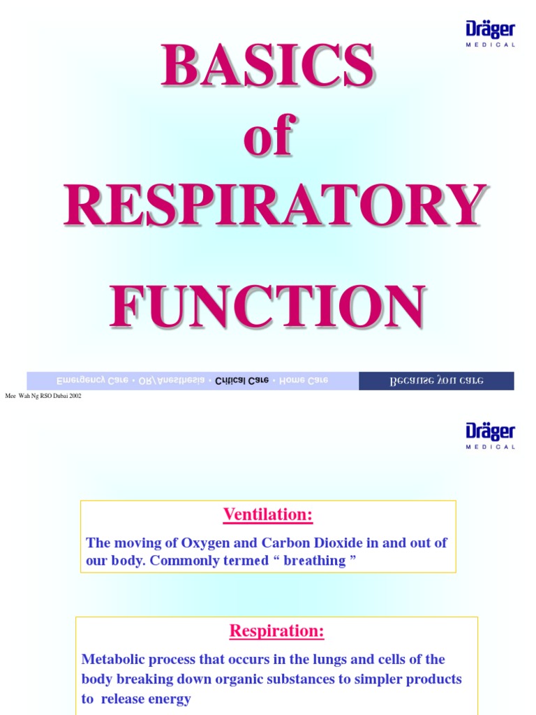 Basics of Respiratory Function: Mee Wah NG RSO Dubai 2002 | PDF | Lung ...