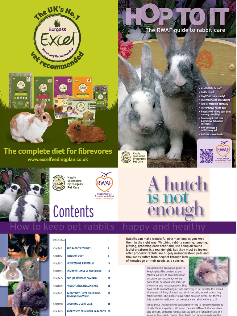 Hop To It - The RWAF Guide To Rabbit Care | PDF | Neutering | Hay